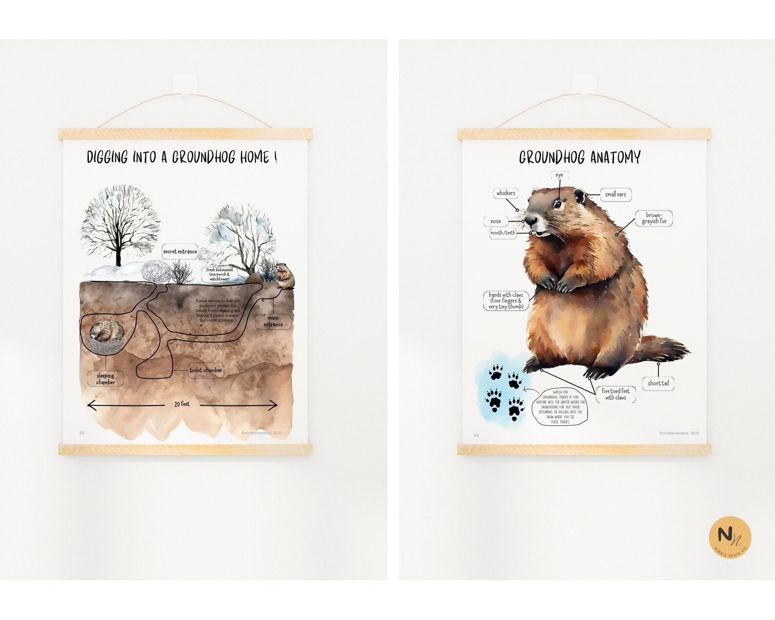 Groundhog Day Study,hibernation Unit Study,winter Animals Journal ...