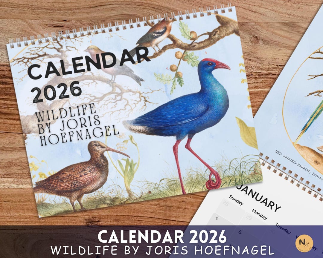 Calendar (2026): Wildlife by Joris Hoefnage, Wildlife Paintings,popular ...
