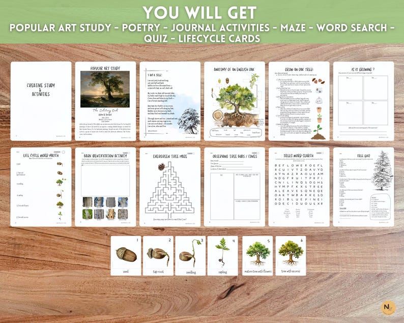 Trees Mini Unit,tree Life Cycle,tree Anatomy,trees in Winter,oak Tree ...