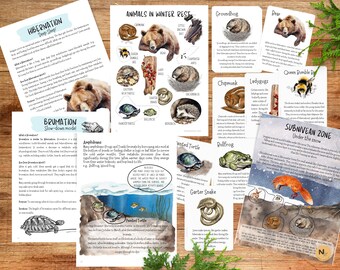 Hibernation Mini Pack Homeschool Printable Nature Study Charlotte Mason ...