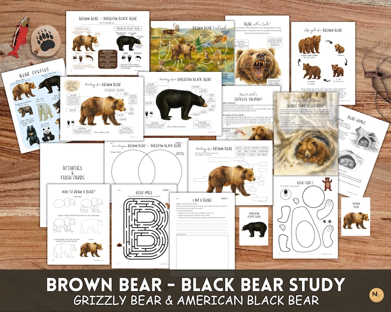 Grizzly Bear and Black Bear Mini Unit: Bear Anatomy & Lifecycle, Bear ...