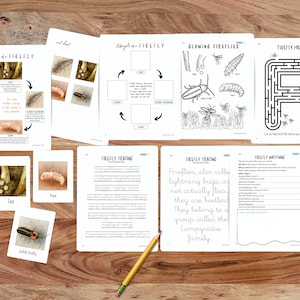 Firefly Unit Study: Anatomy, Lifecycle & Art (PDF Download) - Etsy