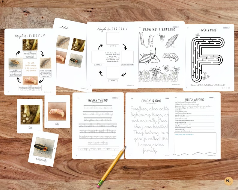 Firefly Unit Study: Anatomy, Lifecycle & Art (PDF Download) - Etsy