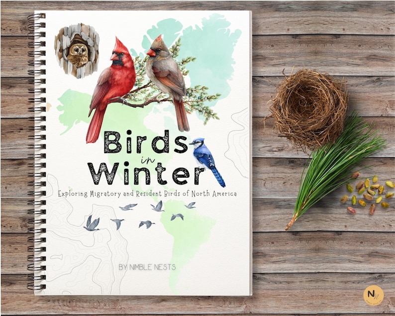Birds in Winter Unit Study: Migratory Bird Anatomy (PDF) - Etsy