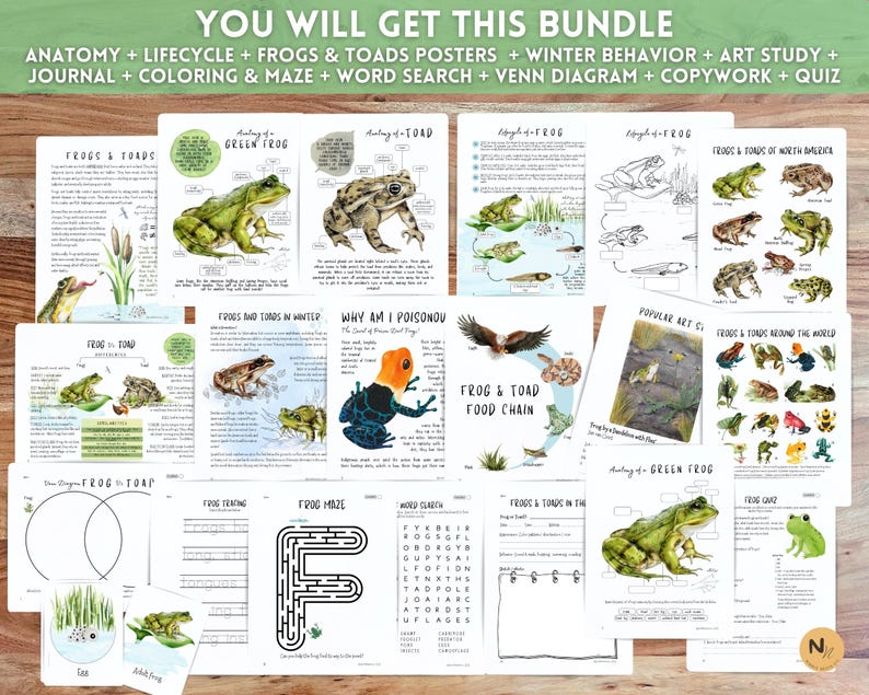 Frog & Toad Nature Study: Life Cycle, Anatomy (PDF) - Etsy