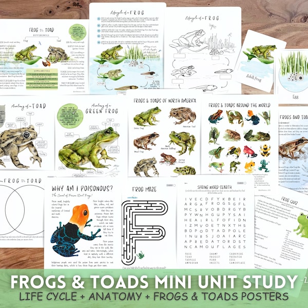 Frog Life Cycle - Etsy