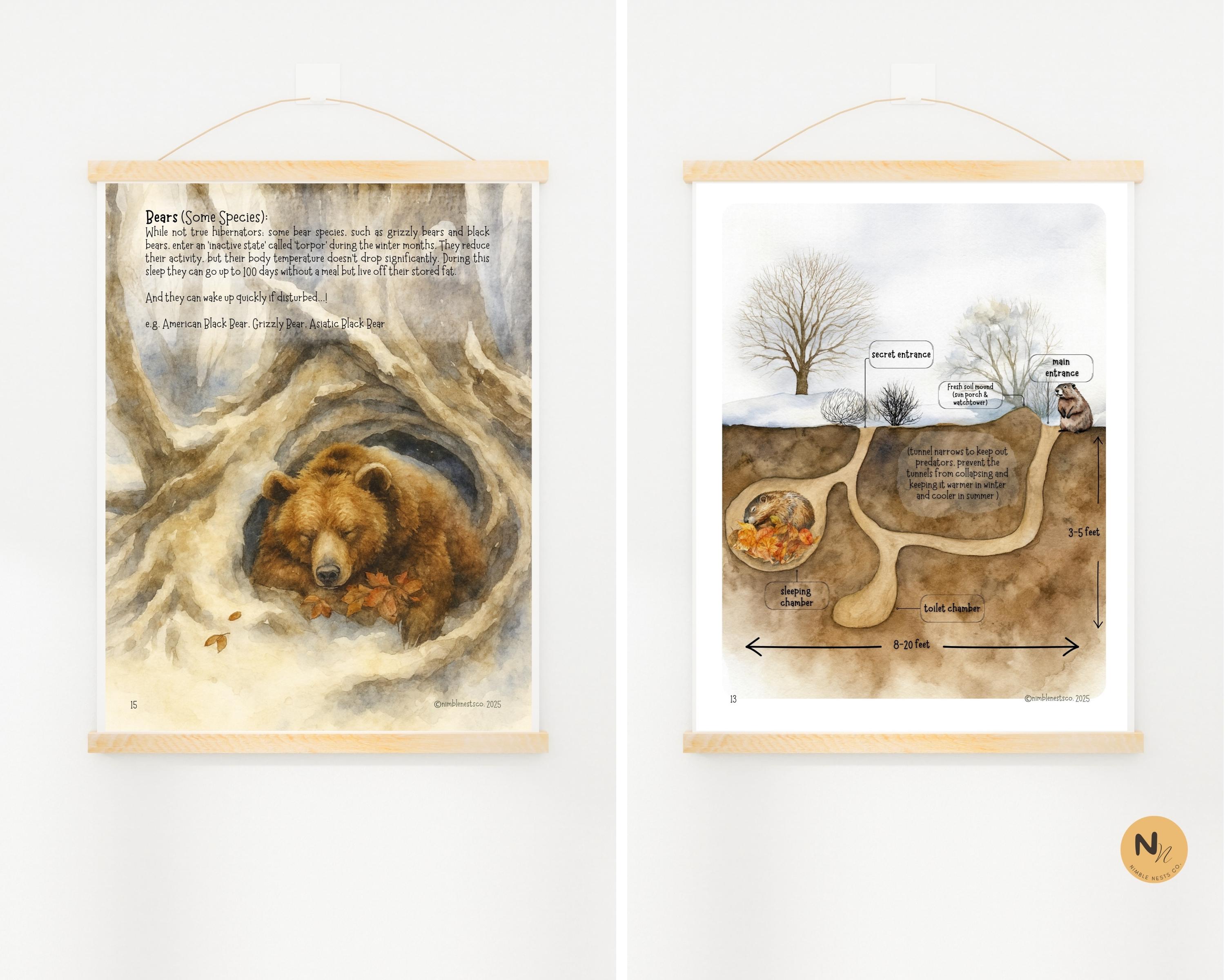 Winter Unit Study: Animals in Winter, Hibernation, Migration, Trees in ...