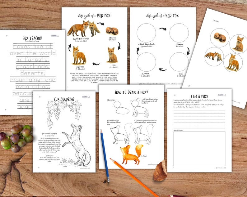 RED FOX Unit Study: Red Fox Anatomy, Life Cycle, Fall Activities for ...