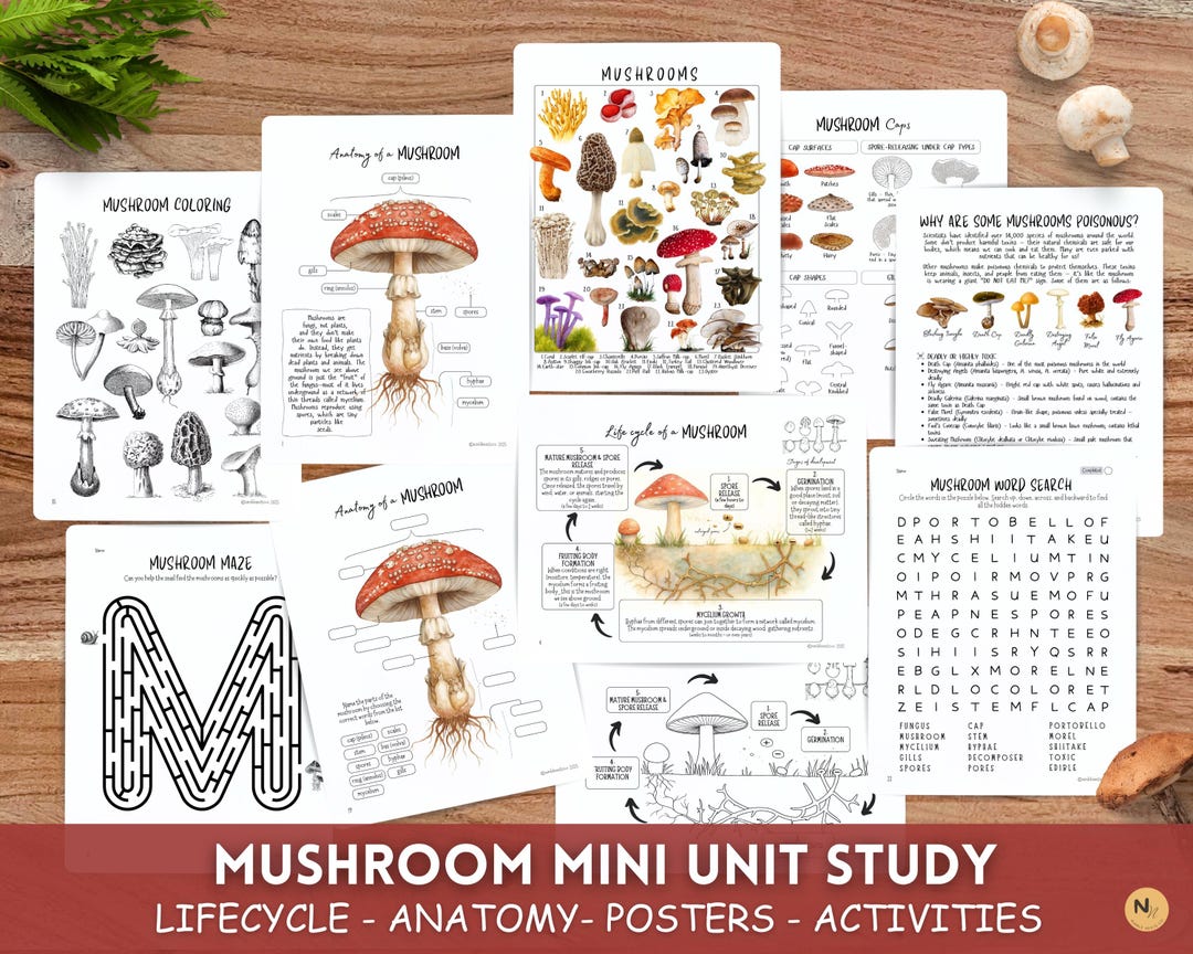 Mushroom Unit Study: Fungi Anatomy, Life Cycle, Ecology (digital ...