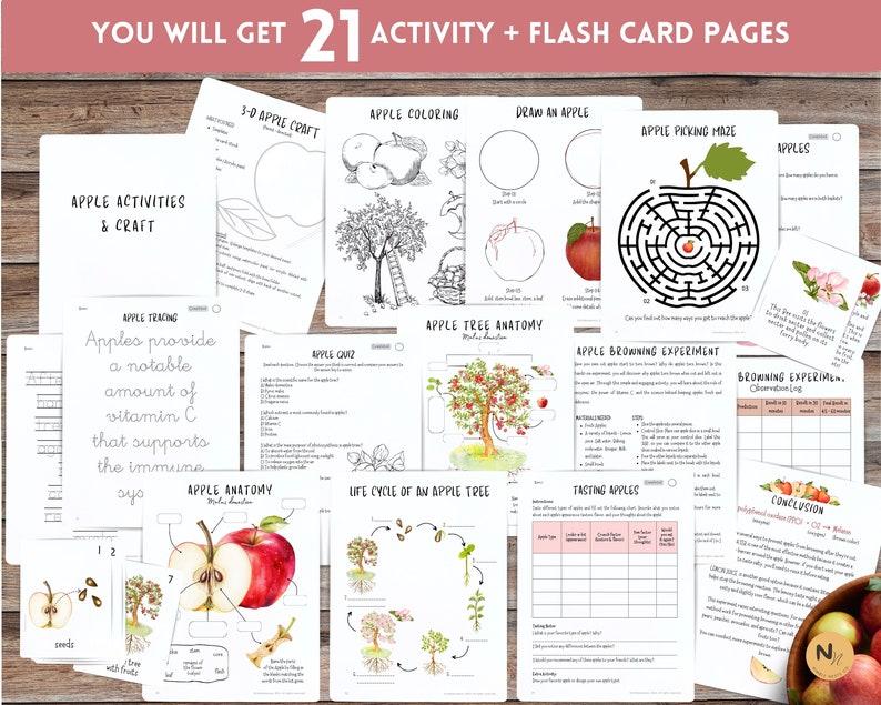 Apple Unit Study,apple Anatomy,apple Life Cycle,fall Homeschool ...