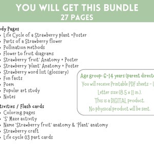Strawberry Unit Study: Anatomy, Life Cycle & Craft Activity (PDF) - Etsy
