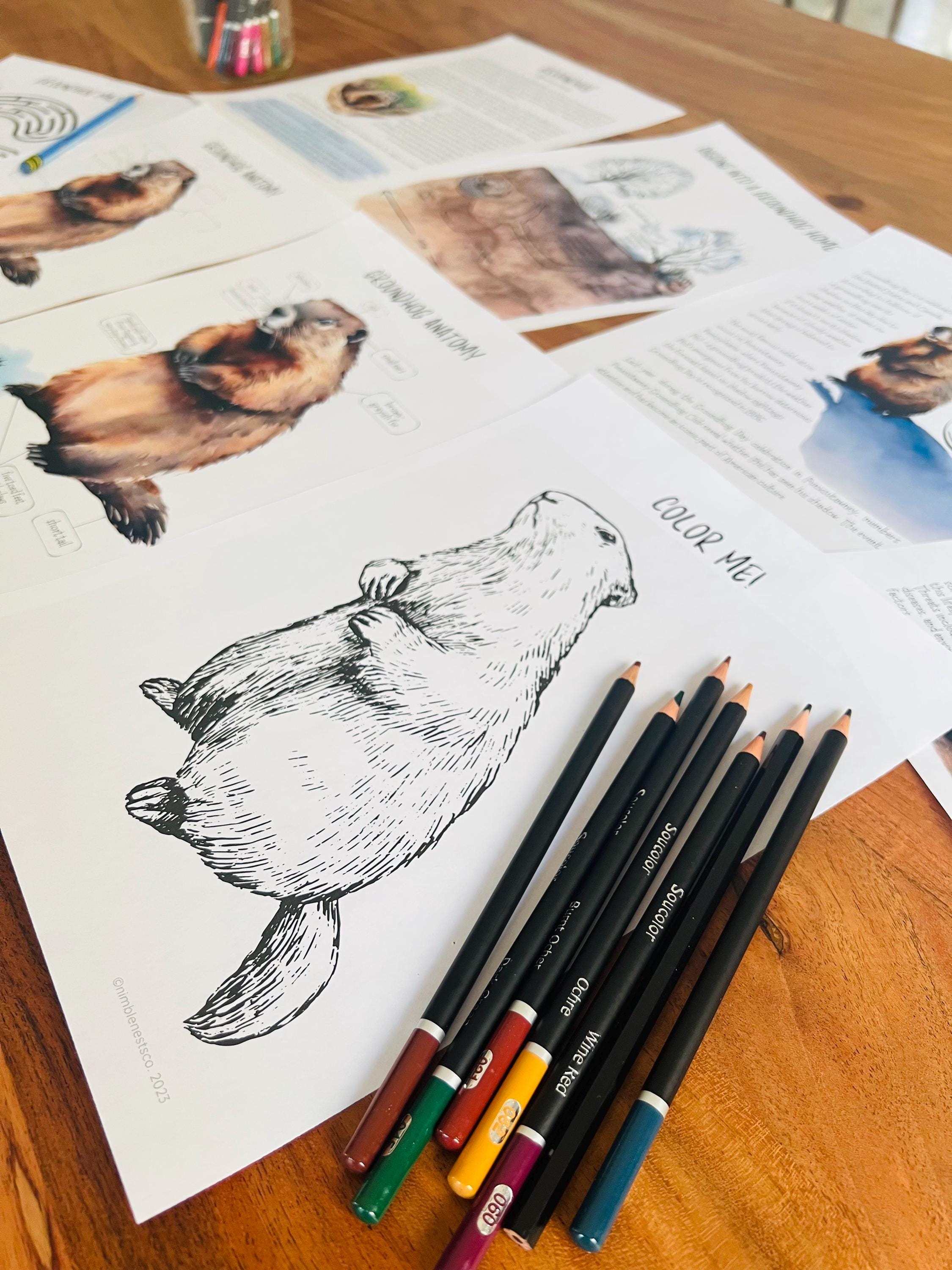 Groundhog Day Study,hibernation Unit Study,winter Animals Journal ...