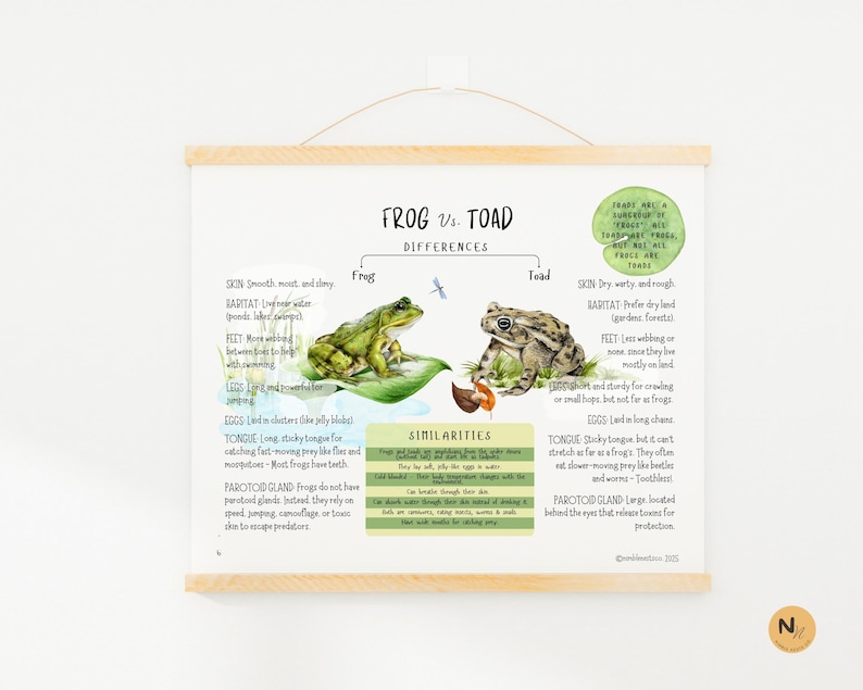 Frog & Toad Nature Study: Life Cycle, Anatomy (PDF) - Etsy