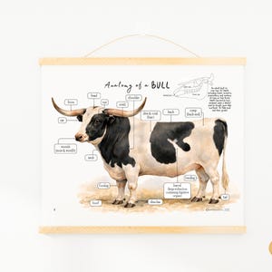 Farm Animals Unit Study PDF: Printable Farm Animal Life Cycles, Anatomy ...