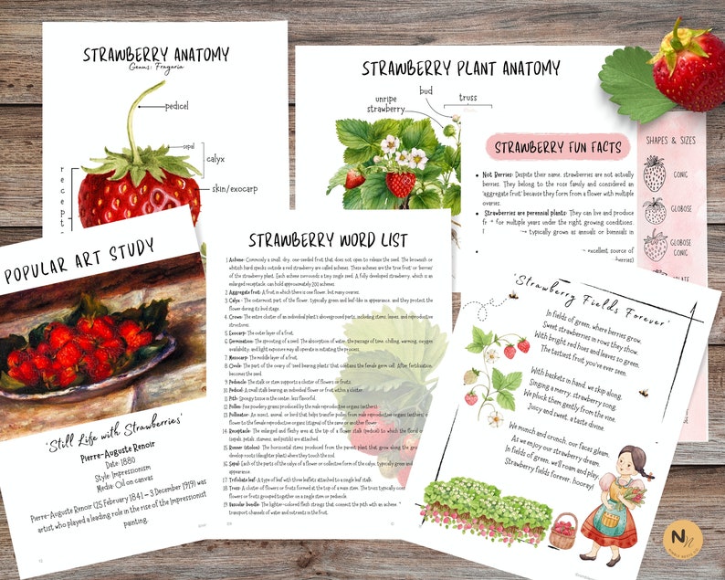 Strawberry Unit Study, Strawberry Anatomy, Strawberry Life Cycle,spring ...