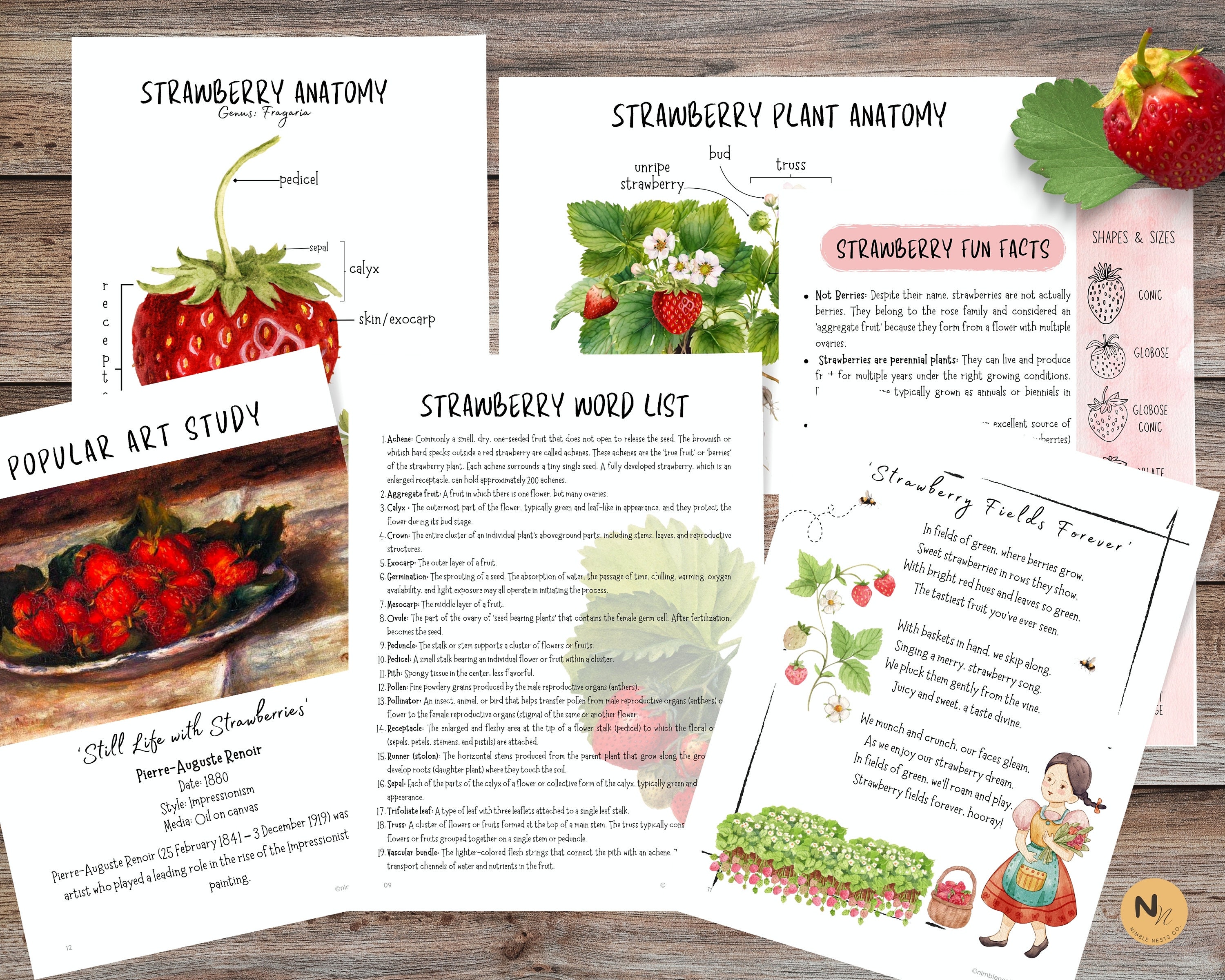 Strawberry Unit Study, Strawberry Anatomy, Strawberry Life Cycle,spring ...