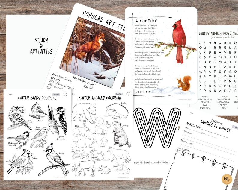 Animals in Winter,hibernation Study,winter Homeschool,birds of Winter ...