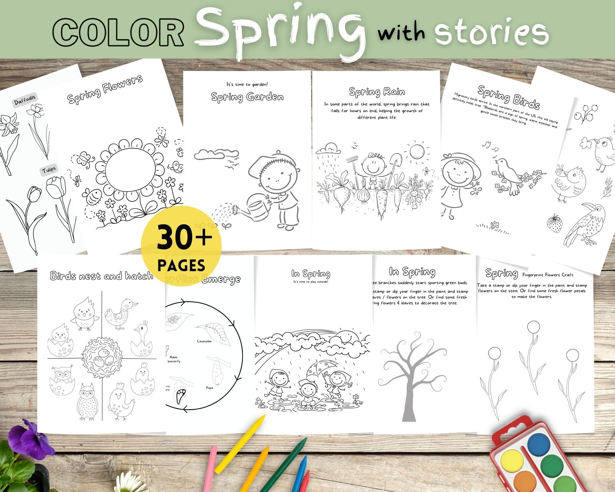 Spring Story Coloring Pages for Kids: Garden & Nature (PDF Download) - Etsy