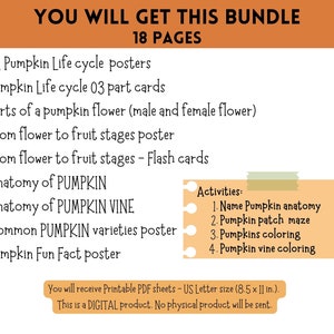 Pumpkin Life Cycle & Anatomy Mini Unit Study (PDF) - Etsy