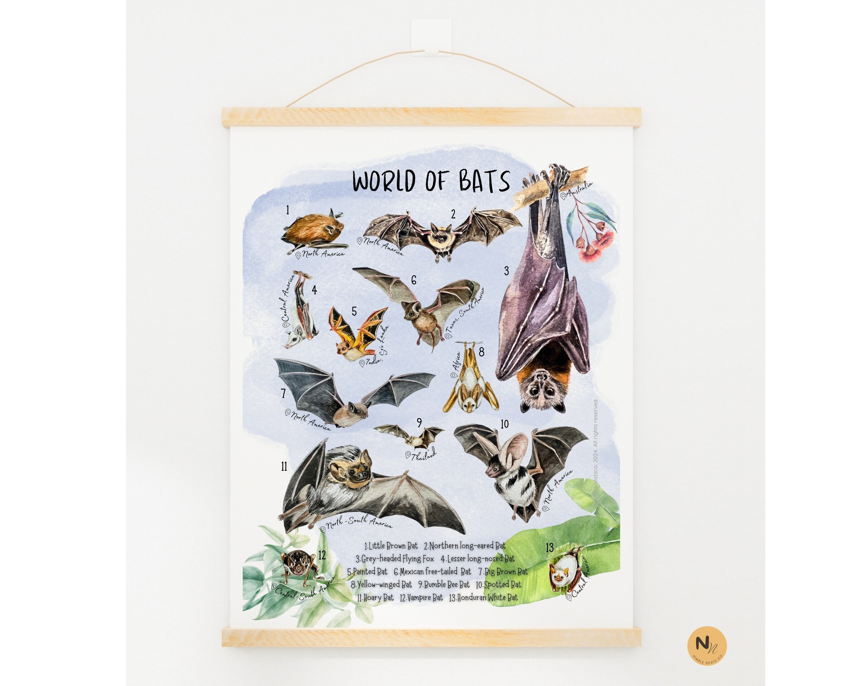 Bats Mini Study,bat Life Cycle,bat Anatomy,mammal Study,homeschool Fall ...