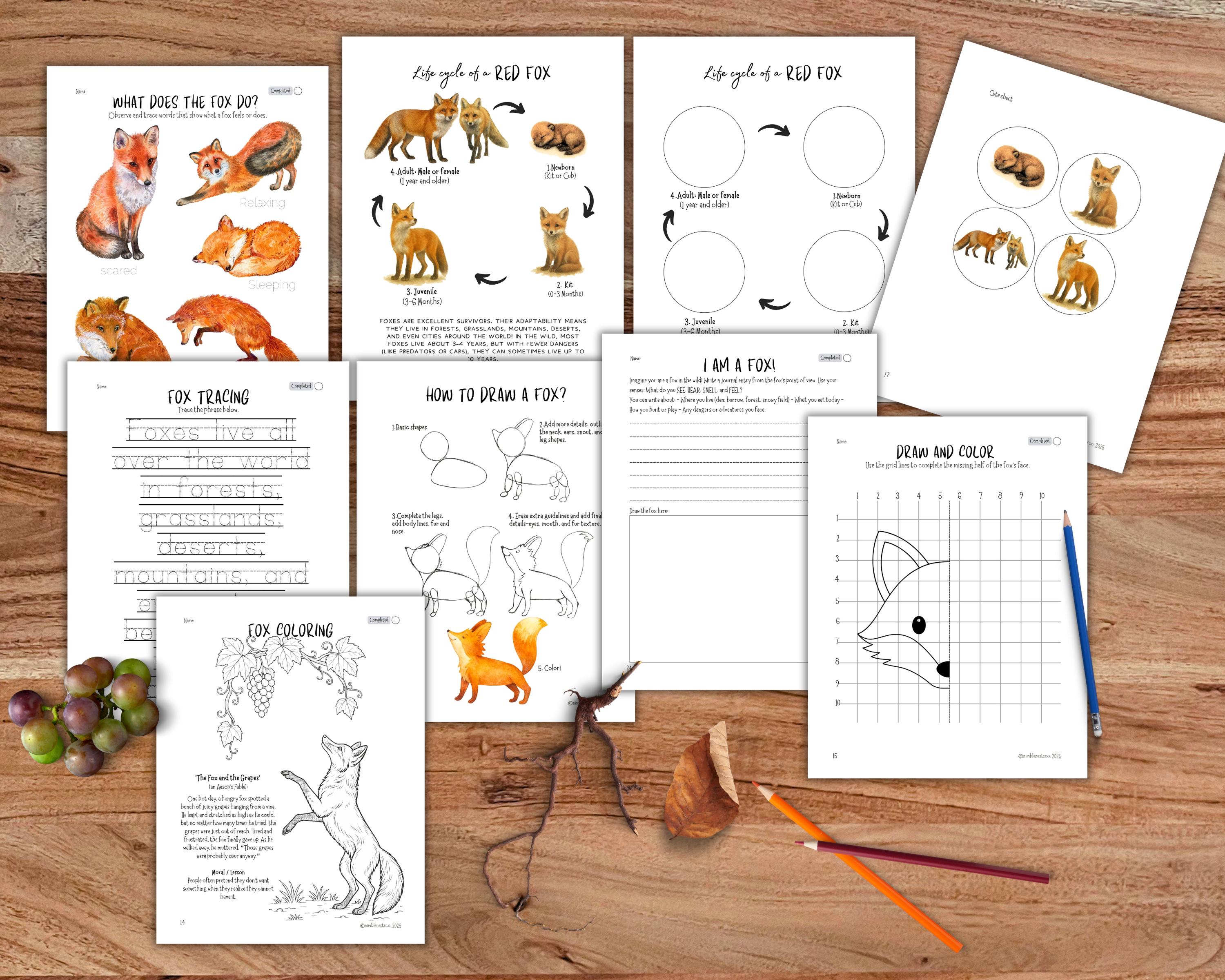 Fox Unit Study: Fox Anatomy, Red Fox Life Cycle, Fox Species Poster ...