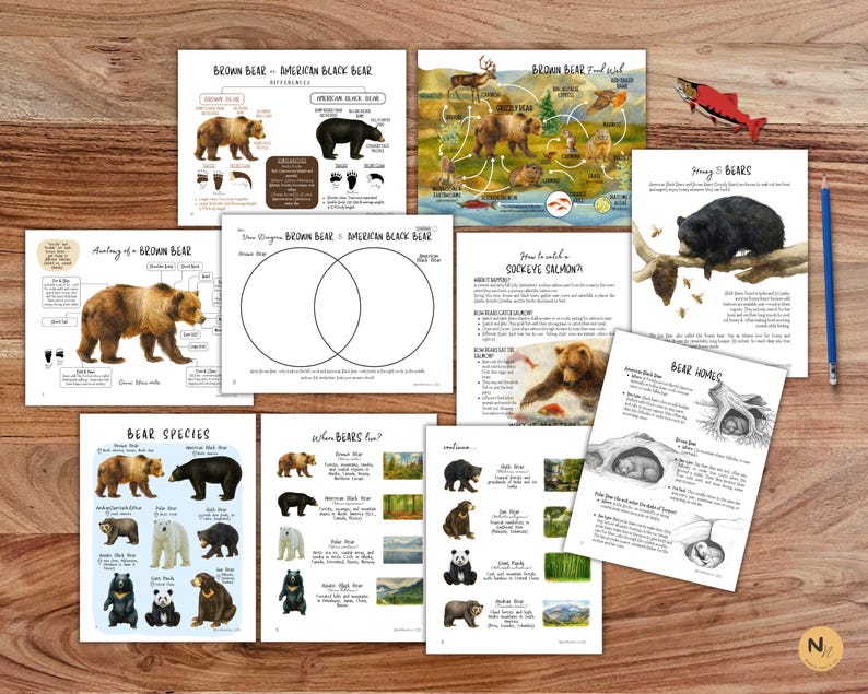 Bears Unit Study: Bear Anatomy & Lifecycle, Bear Species, Bear Craft ...