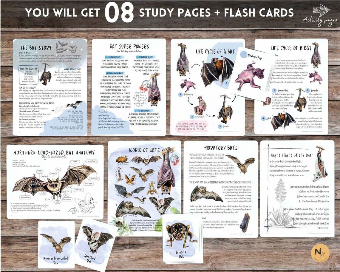 Bat Unit Study: Anatomy, Life Cycle, and Bat Species (PDF) - Etsy
