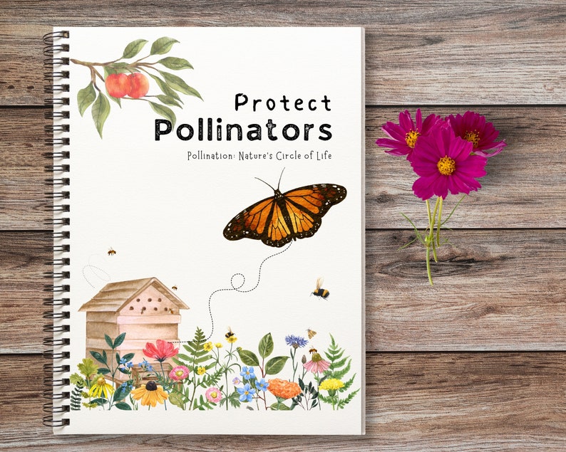 Pollination Homeschool Unit: Bees, Butterflies & Wildflowers (PDF) - Etsy