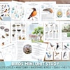 Turkey Unit Study, Anatomy, Life Cycle, Flashcards, Breeds, Worksheets ...