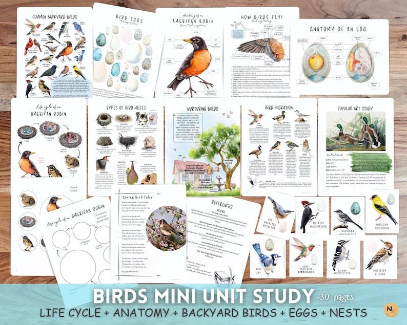 Bird Unit Study: Anatomy, Life Cycle, Backyard Birds (PDF) - Etsy