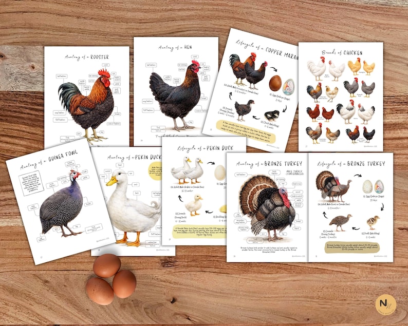 Farm Animals Unit Study PDF: Printable Farm Animal Life Cycles, Anatomy ...
