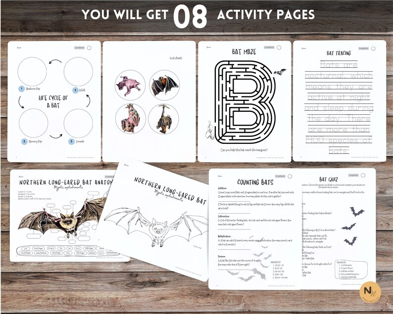 BAT Unit Study, Bat Anatomy Life Cycle,fall Unit,homeschool Fall Nature ...