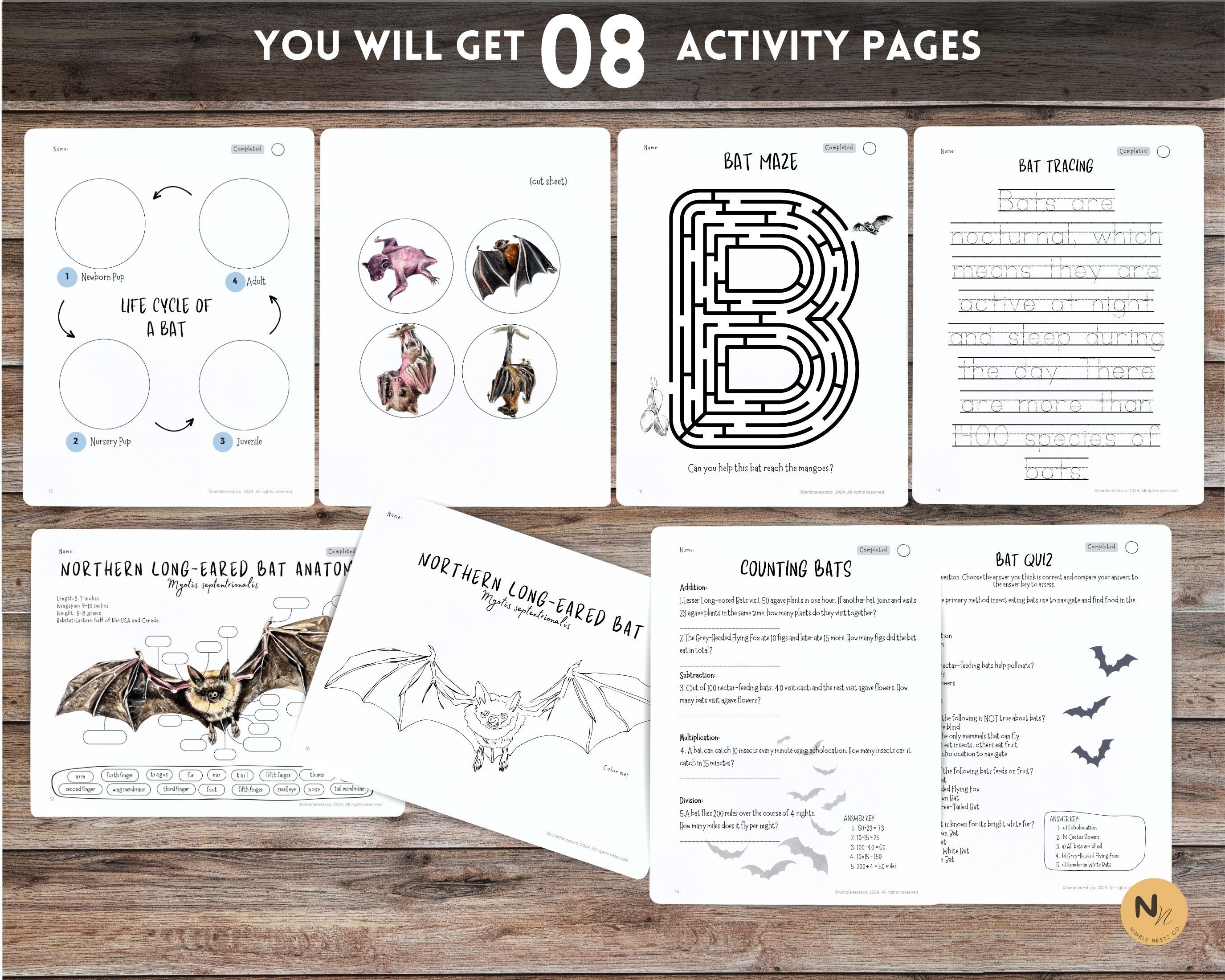 BAT Unit Study, Bat Anatomy Life Cycle,fall Unit,homeschool Fall Nature ...