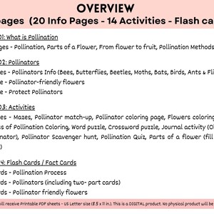 Pollination Homeschool Unit: Bees, Butterflies & Wildflowers (PDF) - Etsy