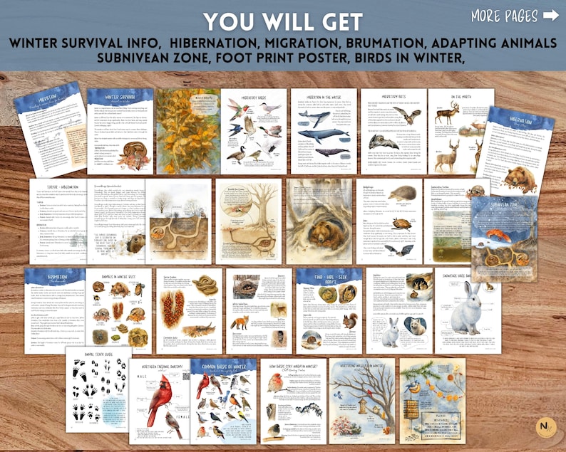 Hibernation Study: Animals in Winter, Bird Migration, Birds in Winter ...
