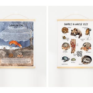 Winter Unit Study: Animals in Winter, Hibernation, Migration, Trees in ...