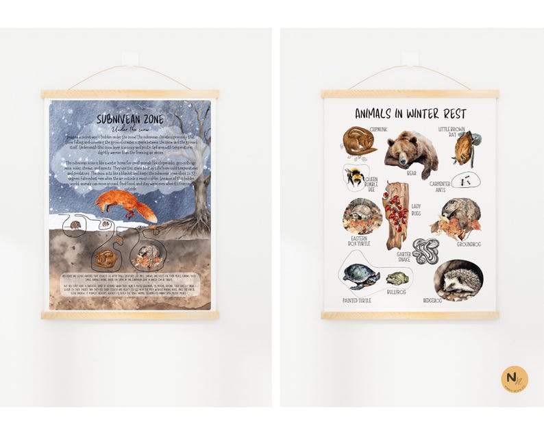 Winter Unit Study: Animals in Winter, Hibernation, Migration, Trees in ...