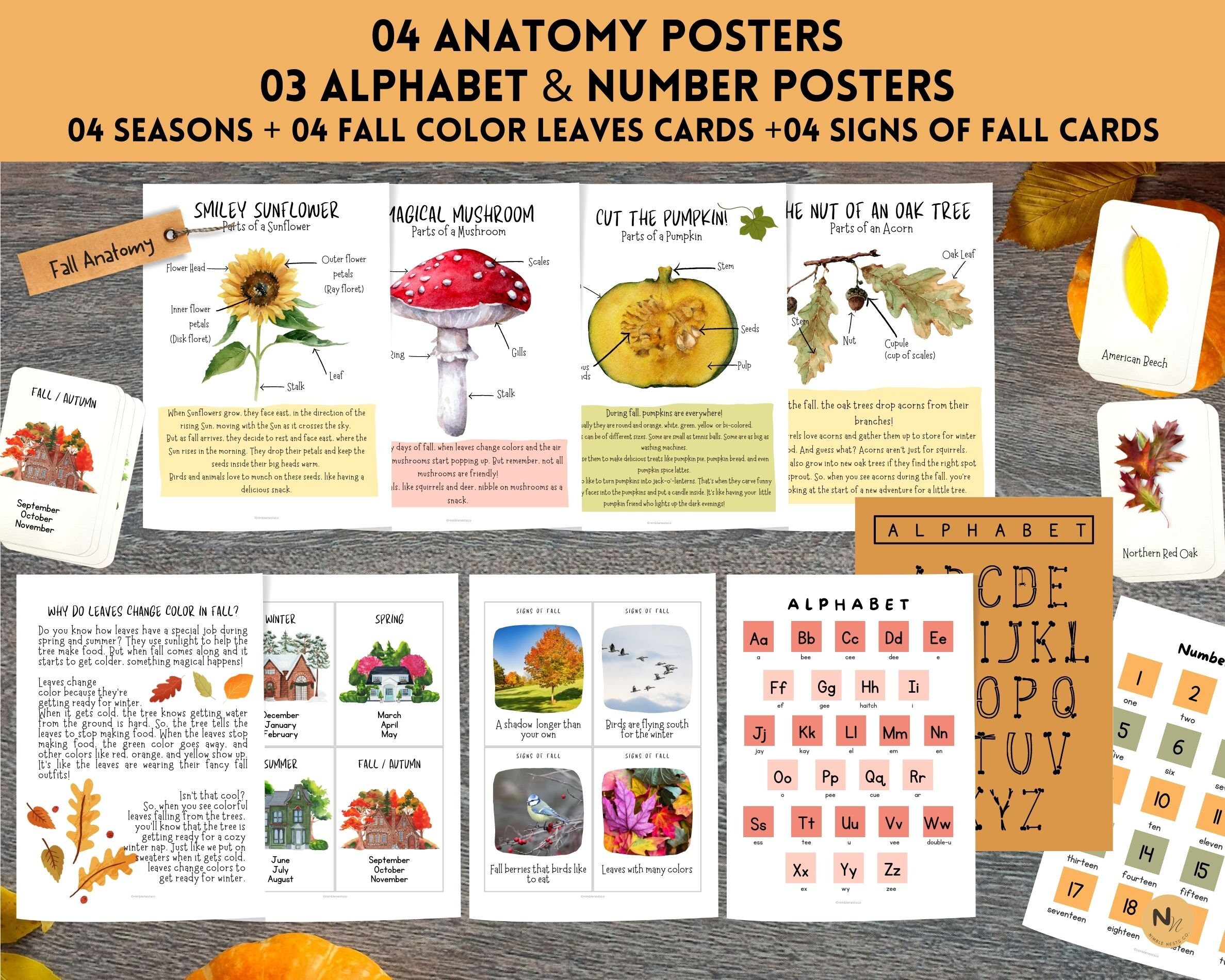 Fall Activities for Kids, Autumn Activity Bundle, Printable Halloween ...