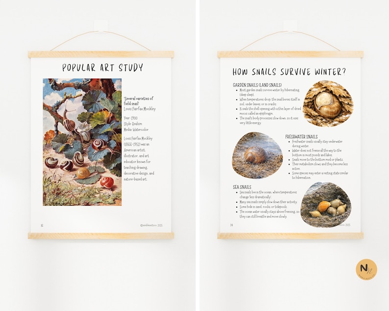 Snail & Slug Unit: Snail Anatomy and Lifecycle, Mollusk Unit Study ...