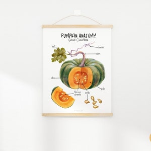 Pumpkin Study, Parts of a Pumpkin, Fall Homeschool, Fall Activity ...