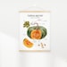 Pumpkin Study, Parts of a Pumpkin, Fall Homeschool, Fall Activity ...