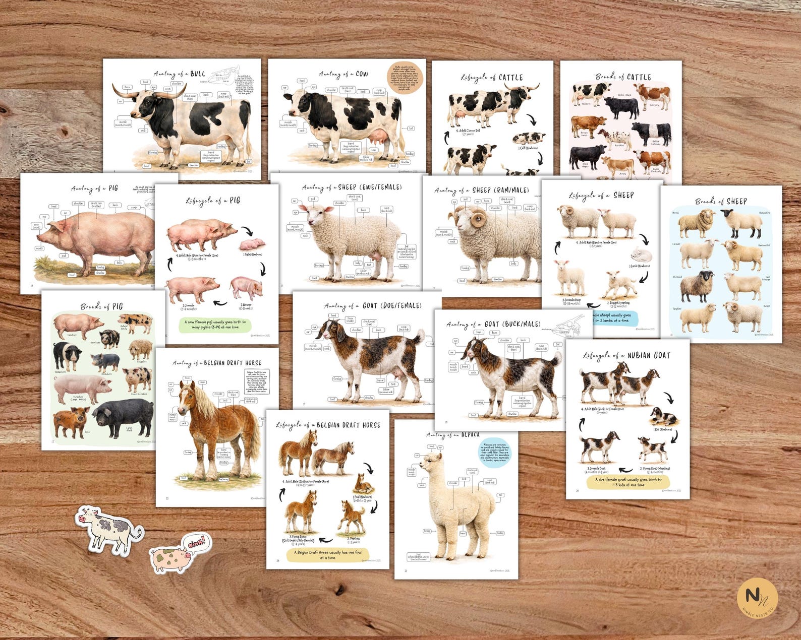 Farm Animals Unit Study PDF: Printable Farm Animal Life Cycles, Anatomy ...