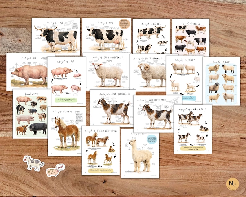Farm Animals Unit Study PDF: Printable Farm Animal Life Cycles, Anatomy ...