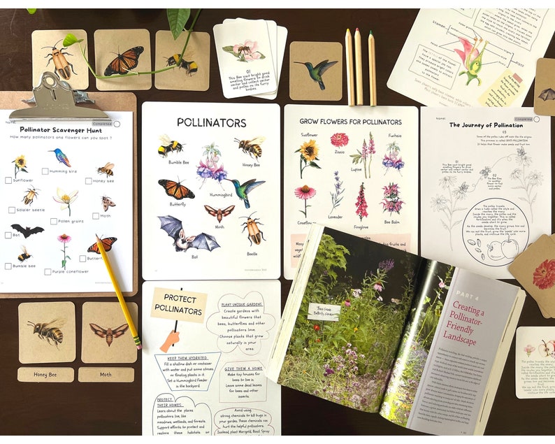 Pollination Homeschool Unit: Bees, Butterflies & Wildflowers (PDF) - Etsy