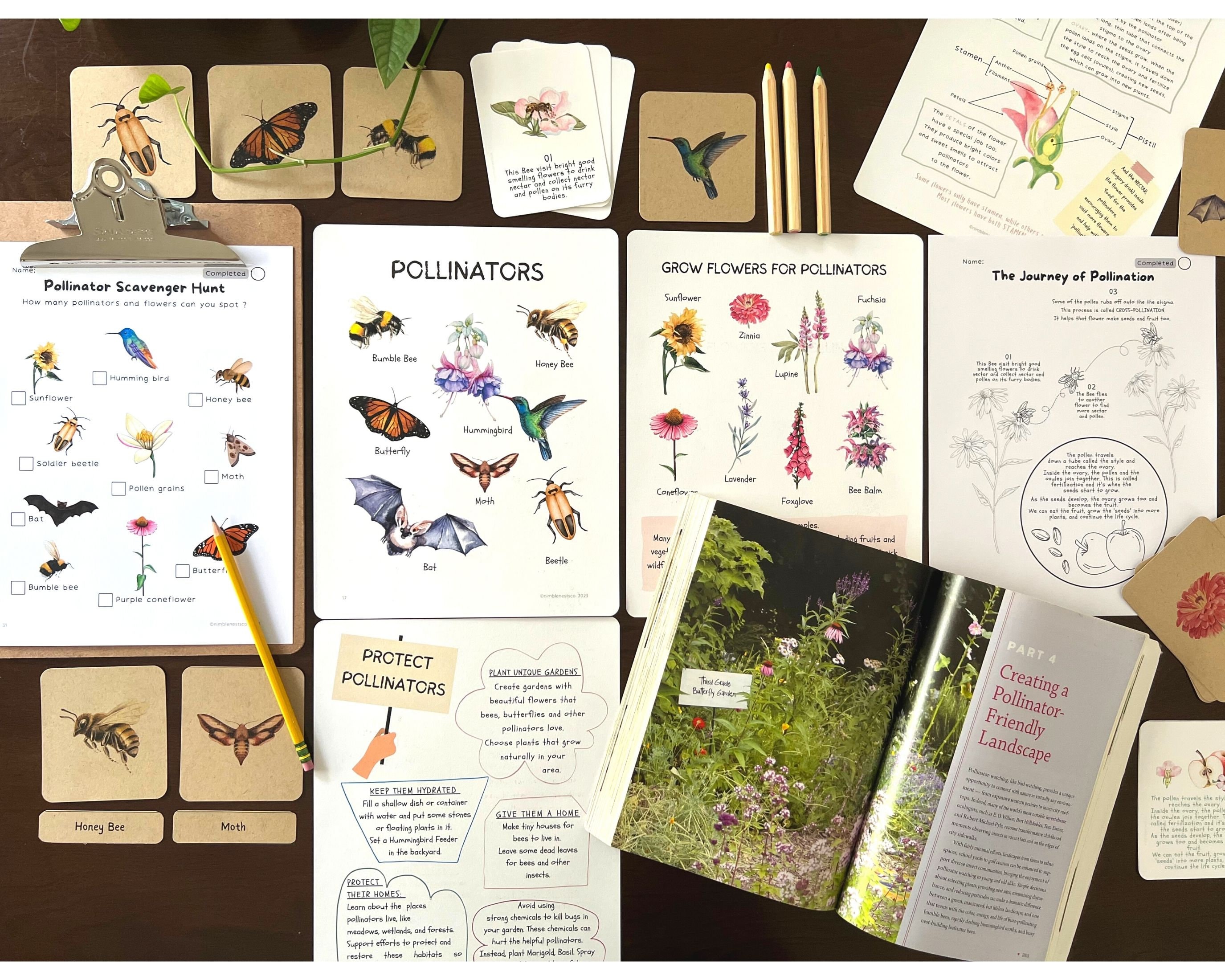 Pollination Homeschool Unit: Bees, Butterflies & Wildflowers (PDF) - Etsy