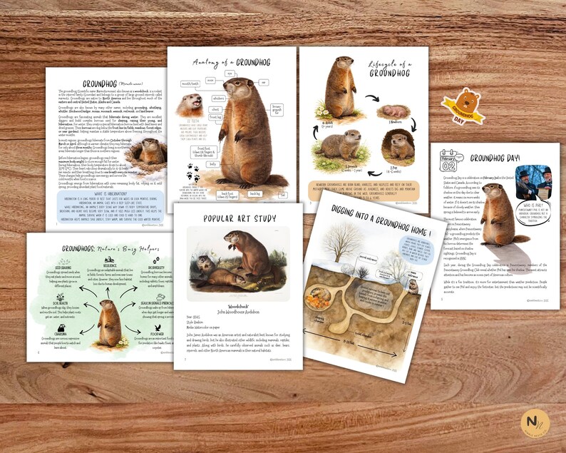 Groundhog Day Unit Study Printable: Anatomy, Life Cycle, Hibernation ...