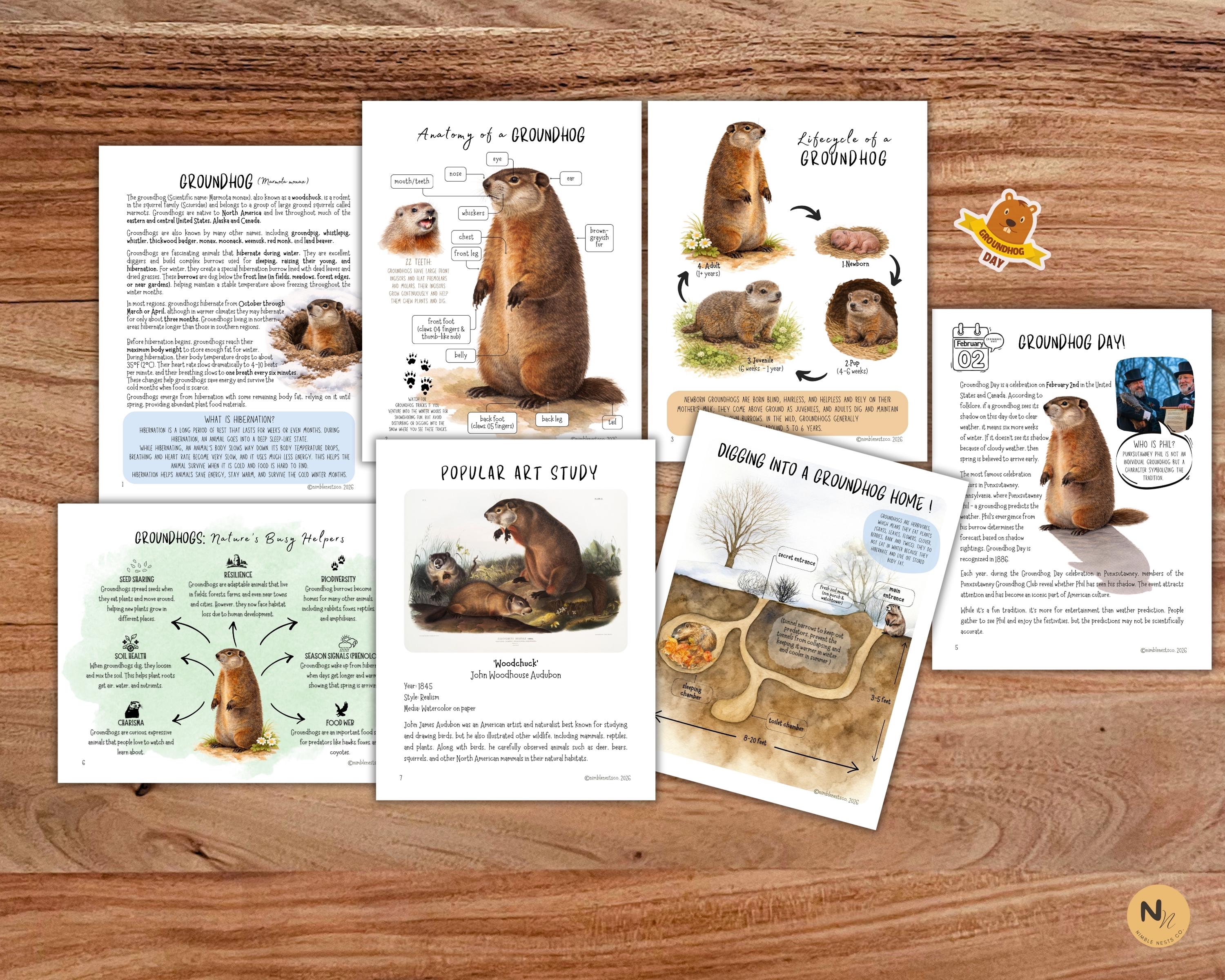 Groundhog Day Unit Study Printable: Anatomy, Life Cycle, Hibernation ...