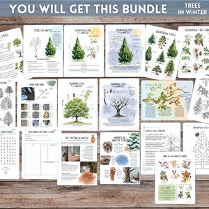 Winter Unit Study: Animals in Winter, Hibernation, Migration, Trees in ...