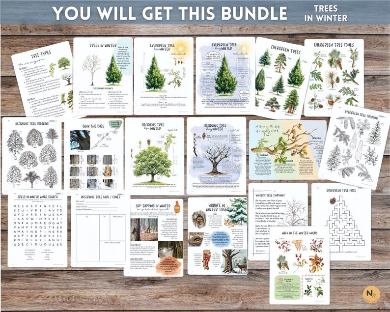 Winter Unit Study: Animals in Winter, Hibernation, Migration, Trees in ...