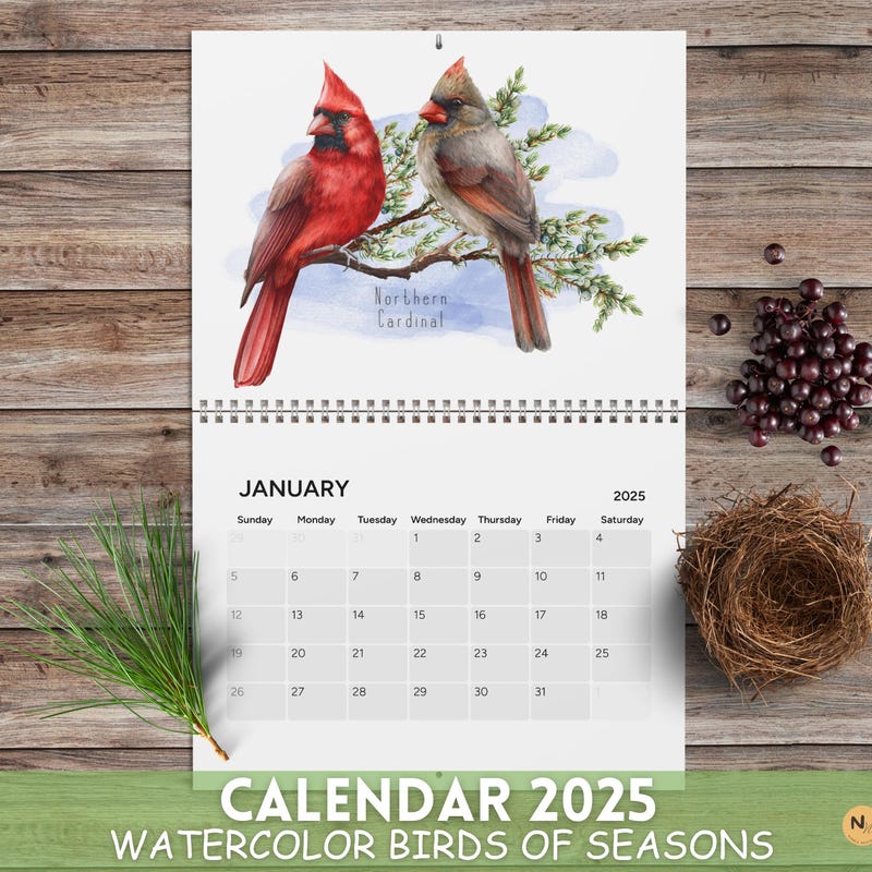 Owl 2025 Calendar - Etsy